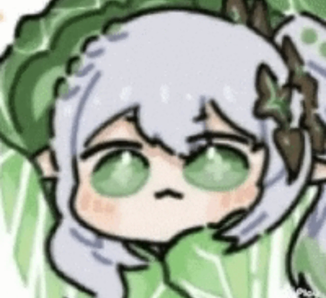 Cabbage Genshin Impact | HoYoLAB