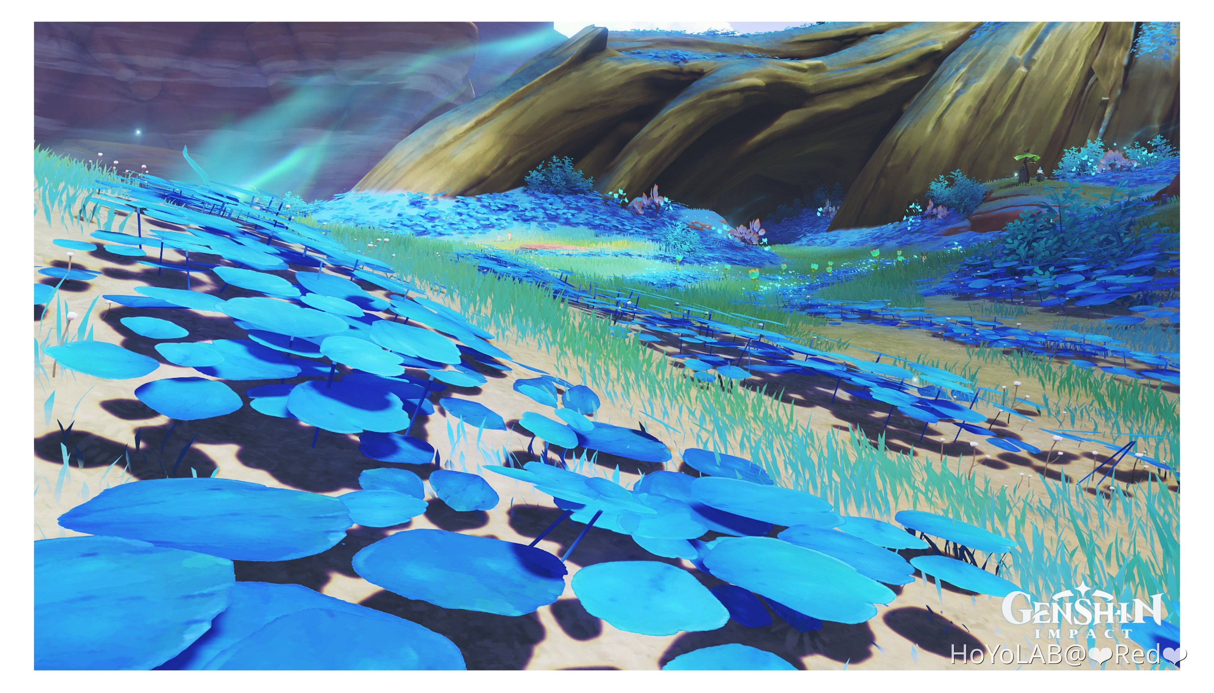 Flower field Genshin Impact | HoYoLAB