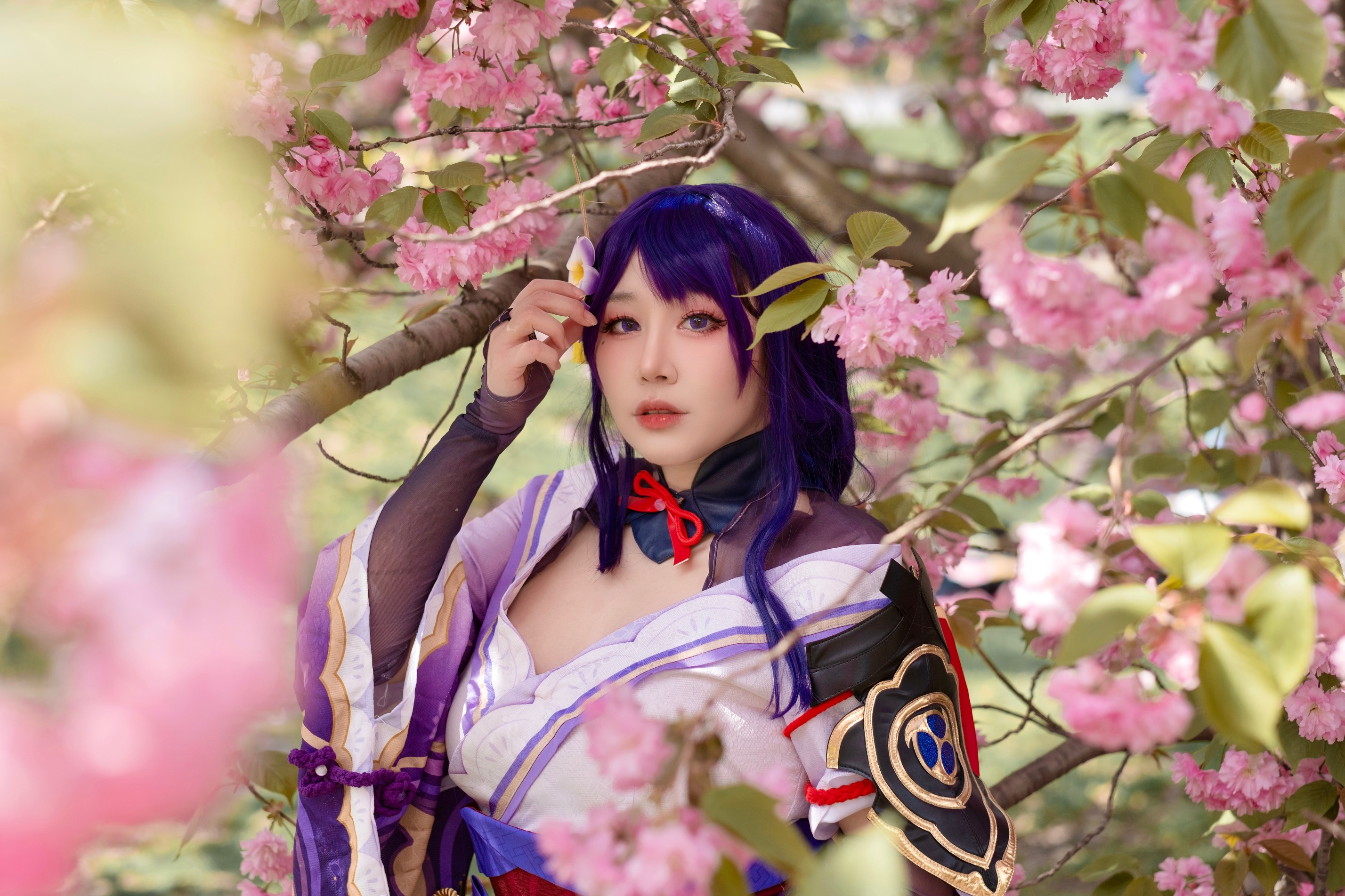 my raiden shogun cosplay with the cherry blossoms 🌸 Genshin Impact ...