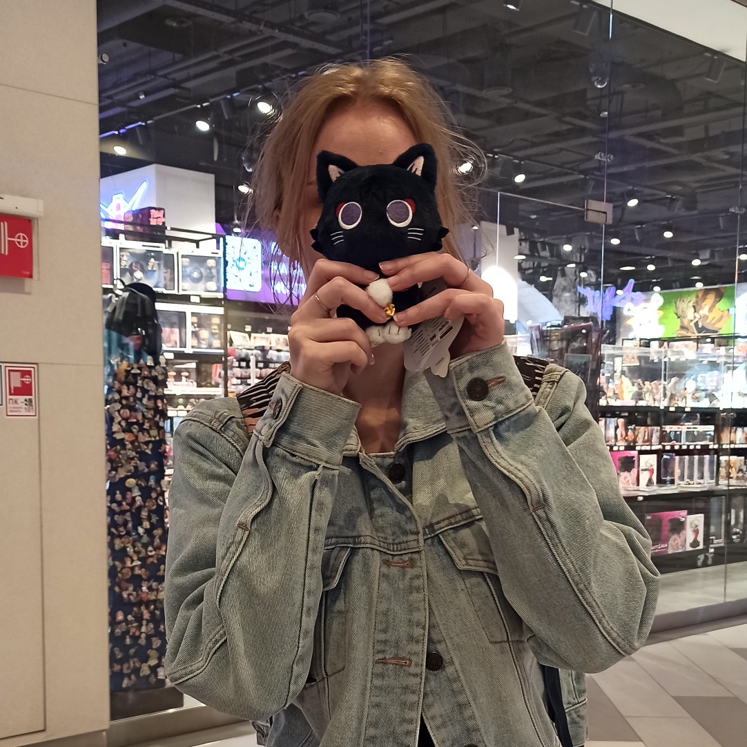 cat scara Genshin Impact | HoYoLAB