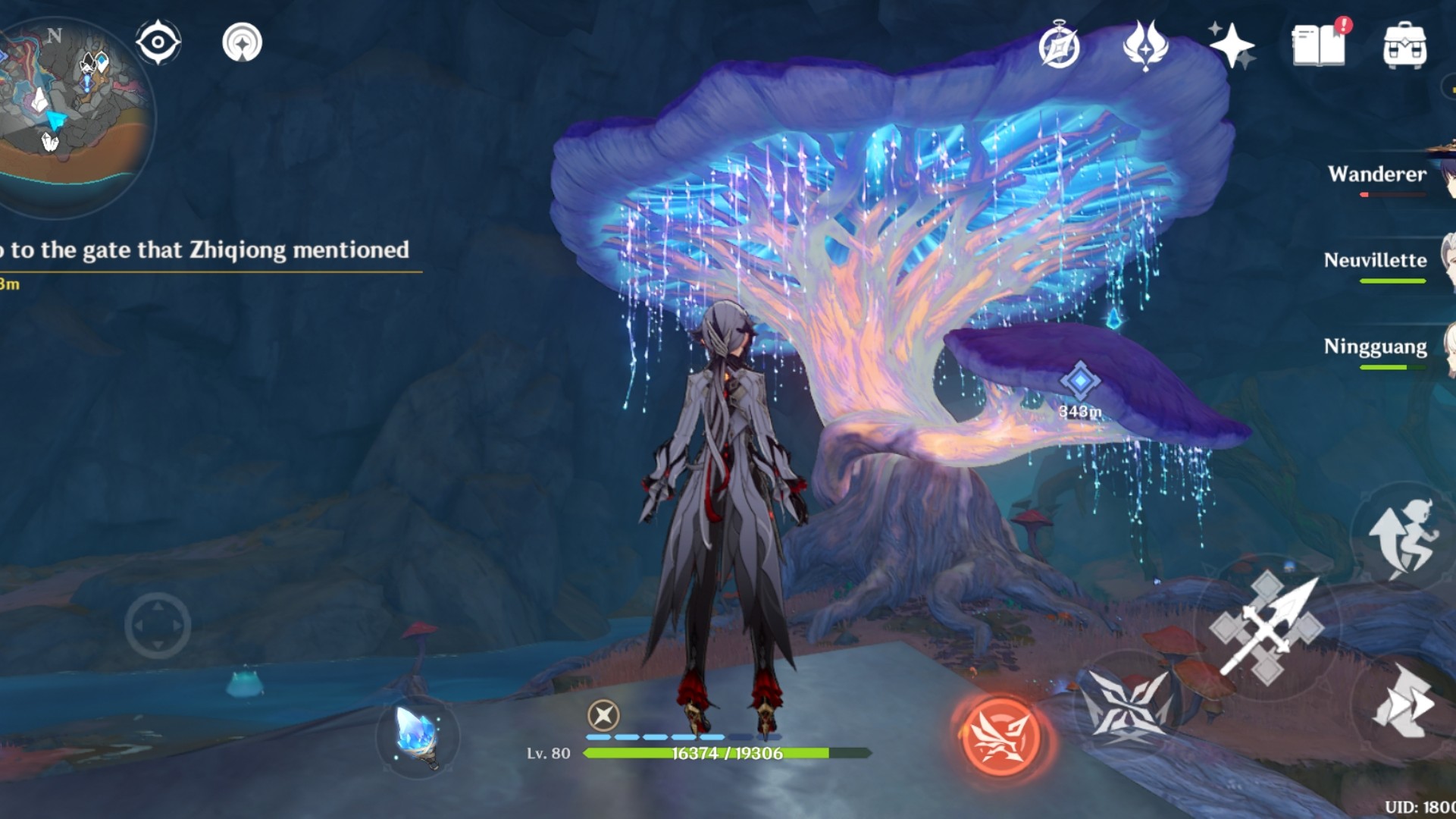 I want to know what's that tree Genshin Impact | HoYoLAB