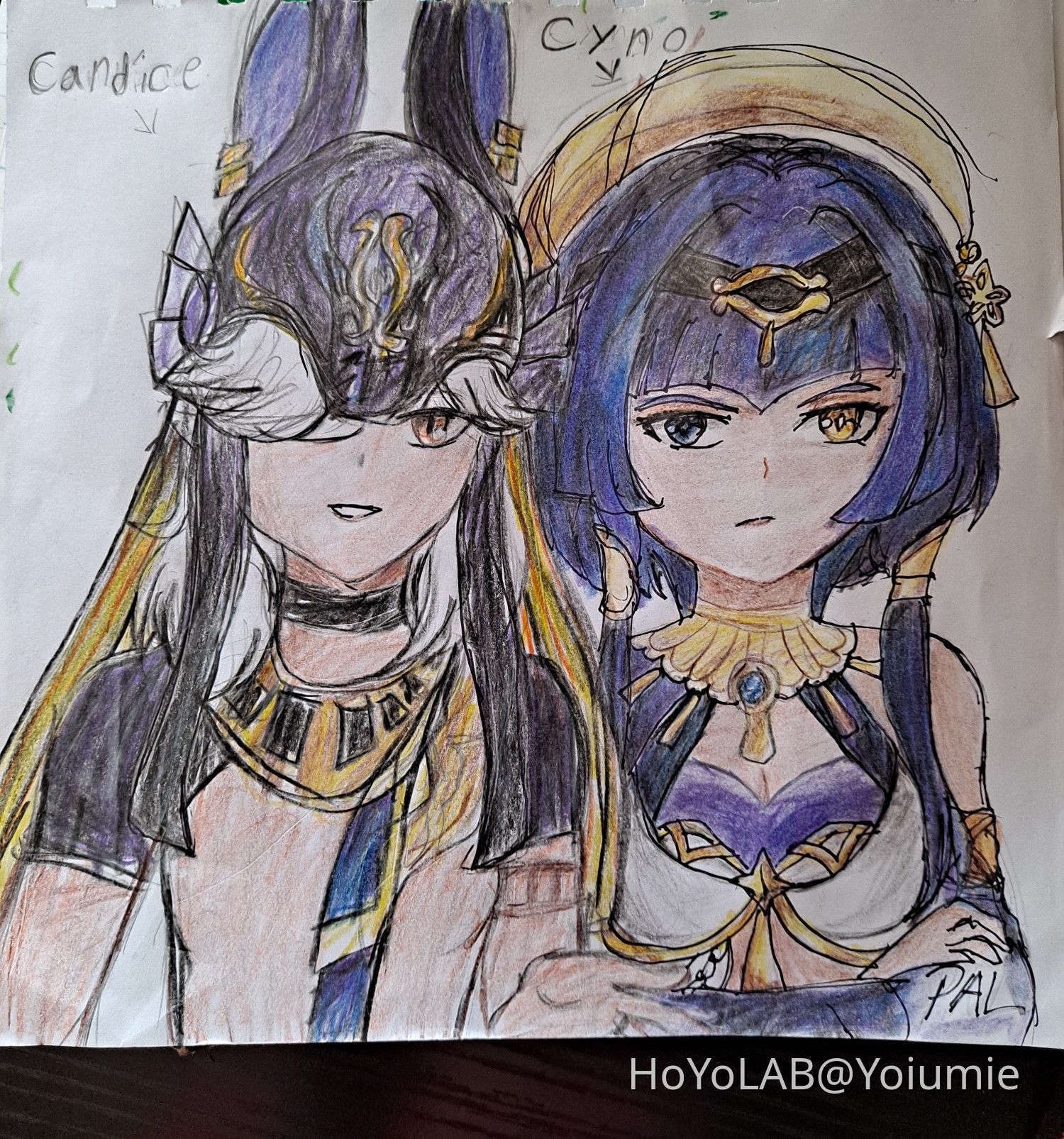 Cyno and Candice Switch Body's Genshin Impact | HoYoLAB