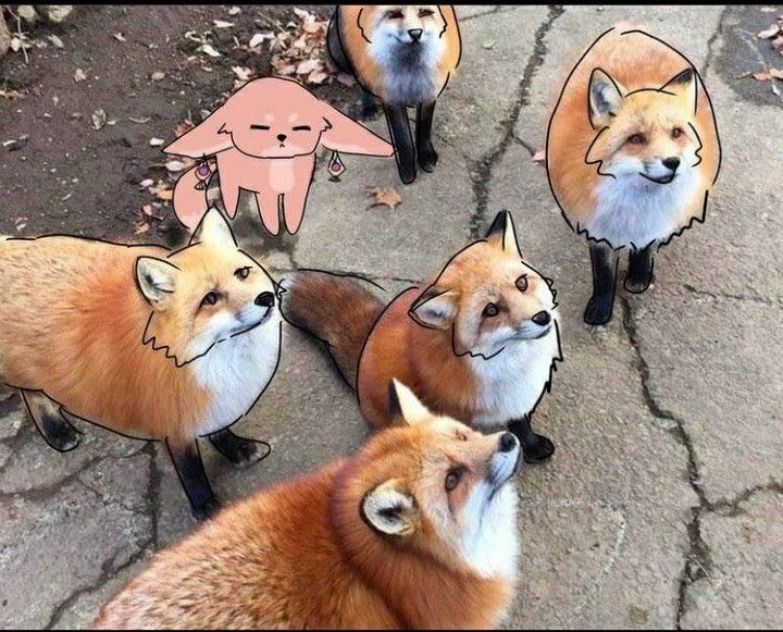 Yae Miko and friends Genshin Impact | HoYoLAB