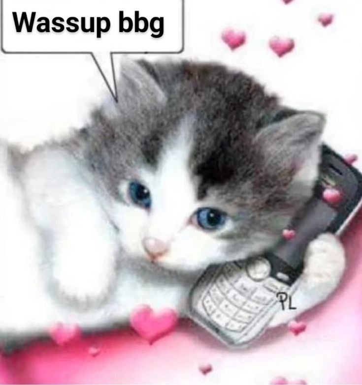 Woah Honkai: Star Rail | HoYoLAB