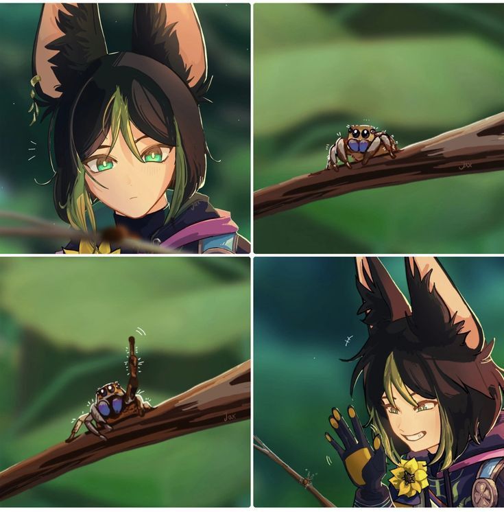 Tighnari pics/memes bc why not? Genshin Impact | HoYoLAB