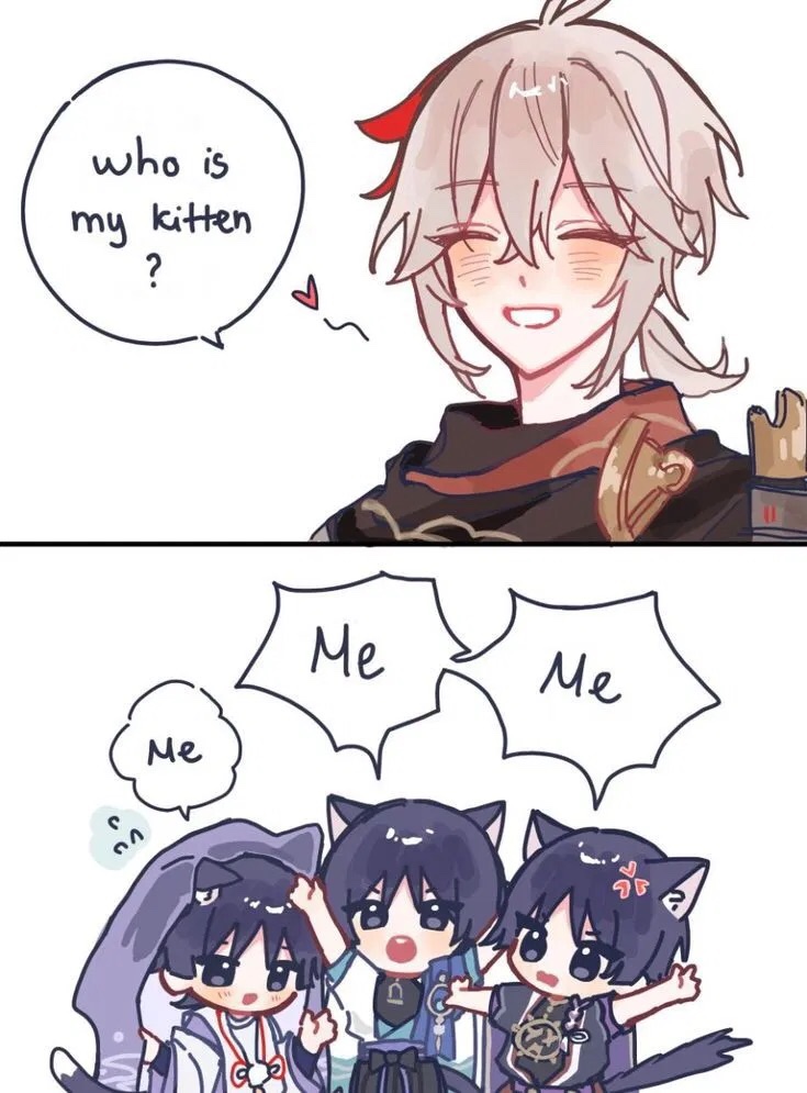 Scara kitties Genshin Impact | HoYoLAB