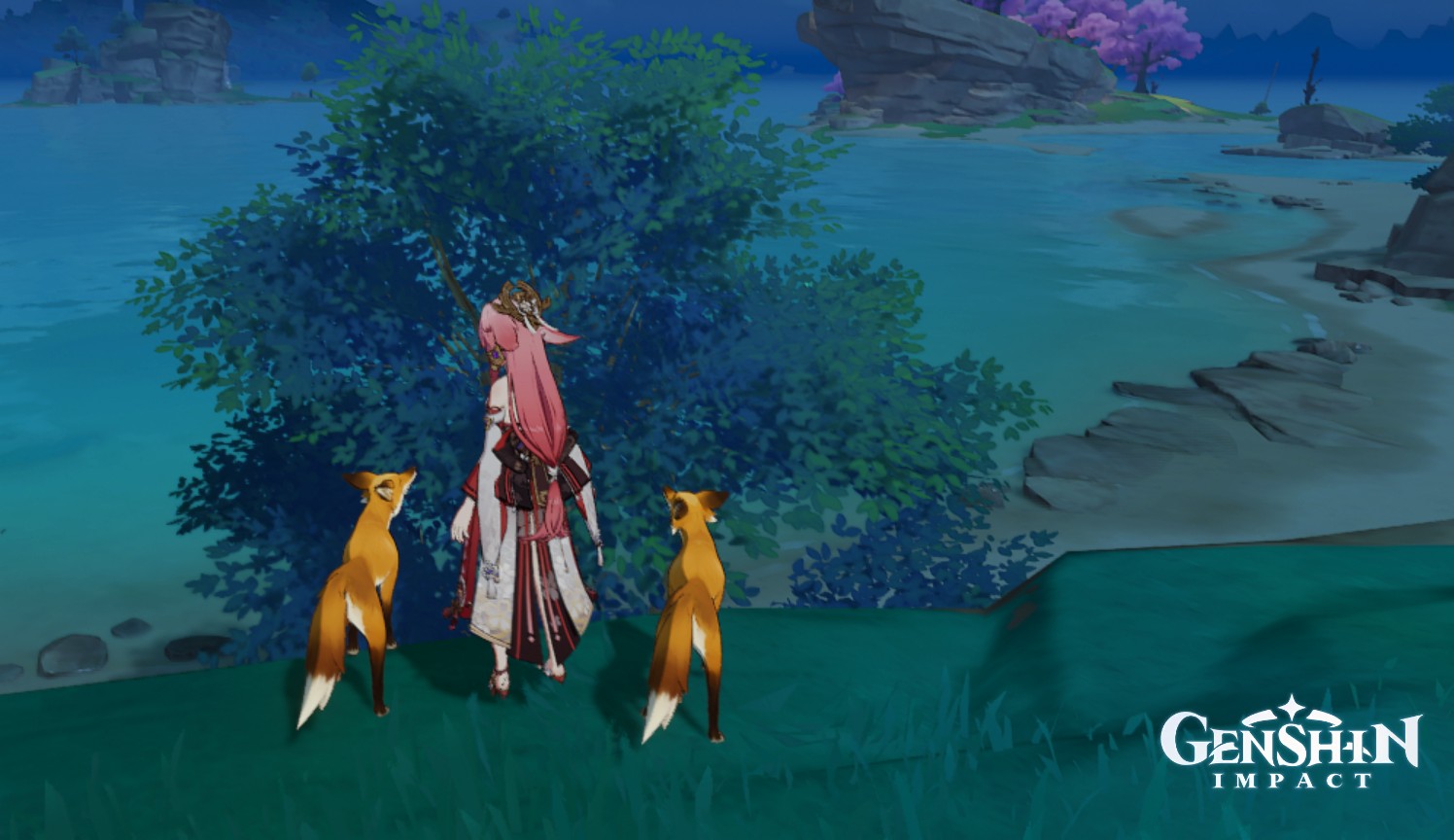 master of foxes 🦊 Genshin Impact | HoYoLAB