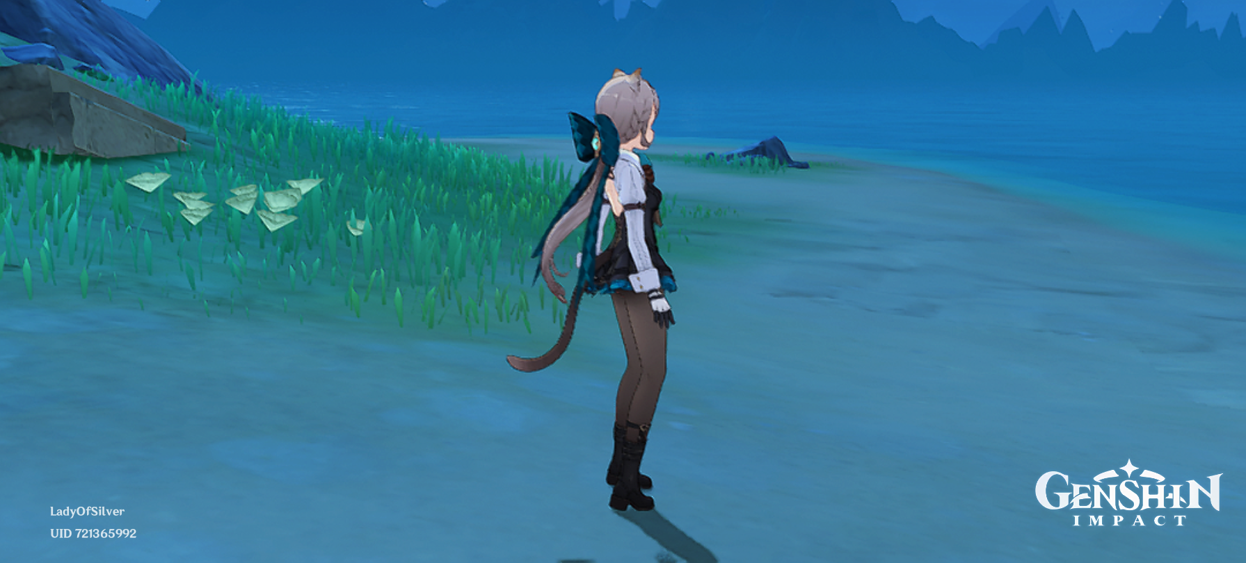 Kitty Cat Tails Genshin Impact | HoYoLAB