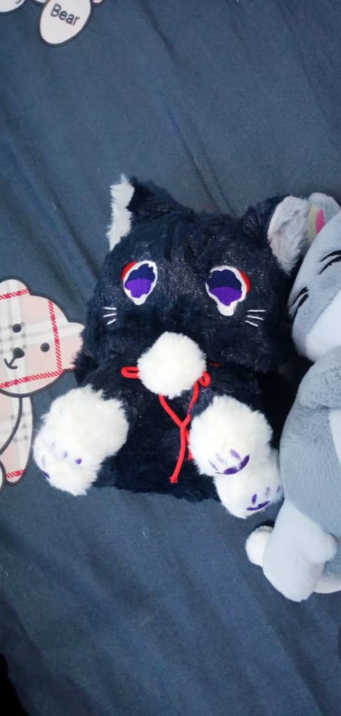 FINALLY GOT MY SCARAMEOW PLUSHIE Genshin Impact | HoYoLAB
