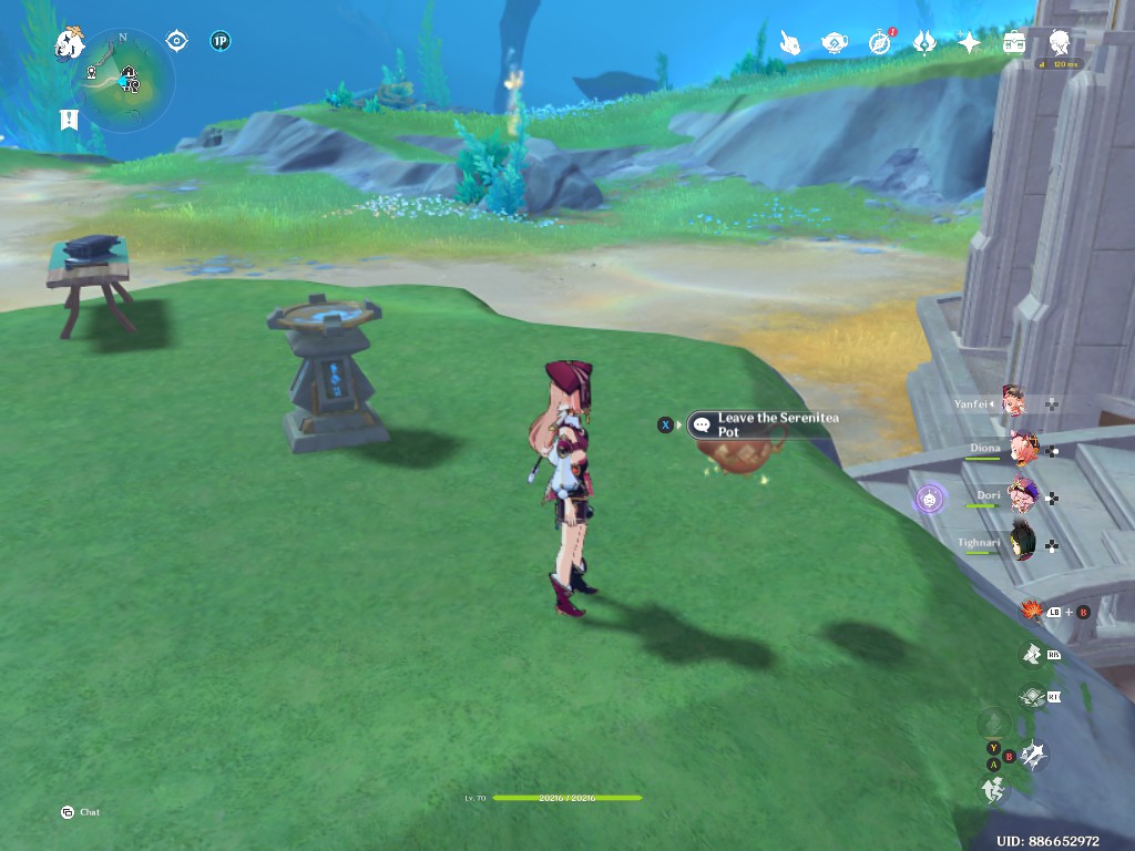 Only Xinyan's Burst finishes with a correct camera angle/orientation ...