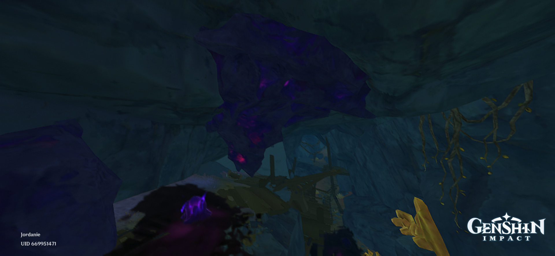Chasm Genshin Impact | HoYoLAB