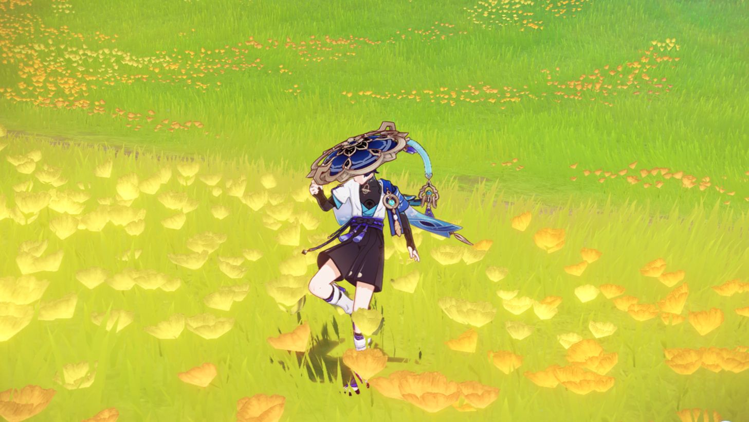 Wandere Genshin Impact | HoYoLAB