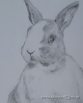 nothing to post today here's a rabbit I drew for class Honkai: Star ...