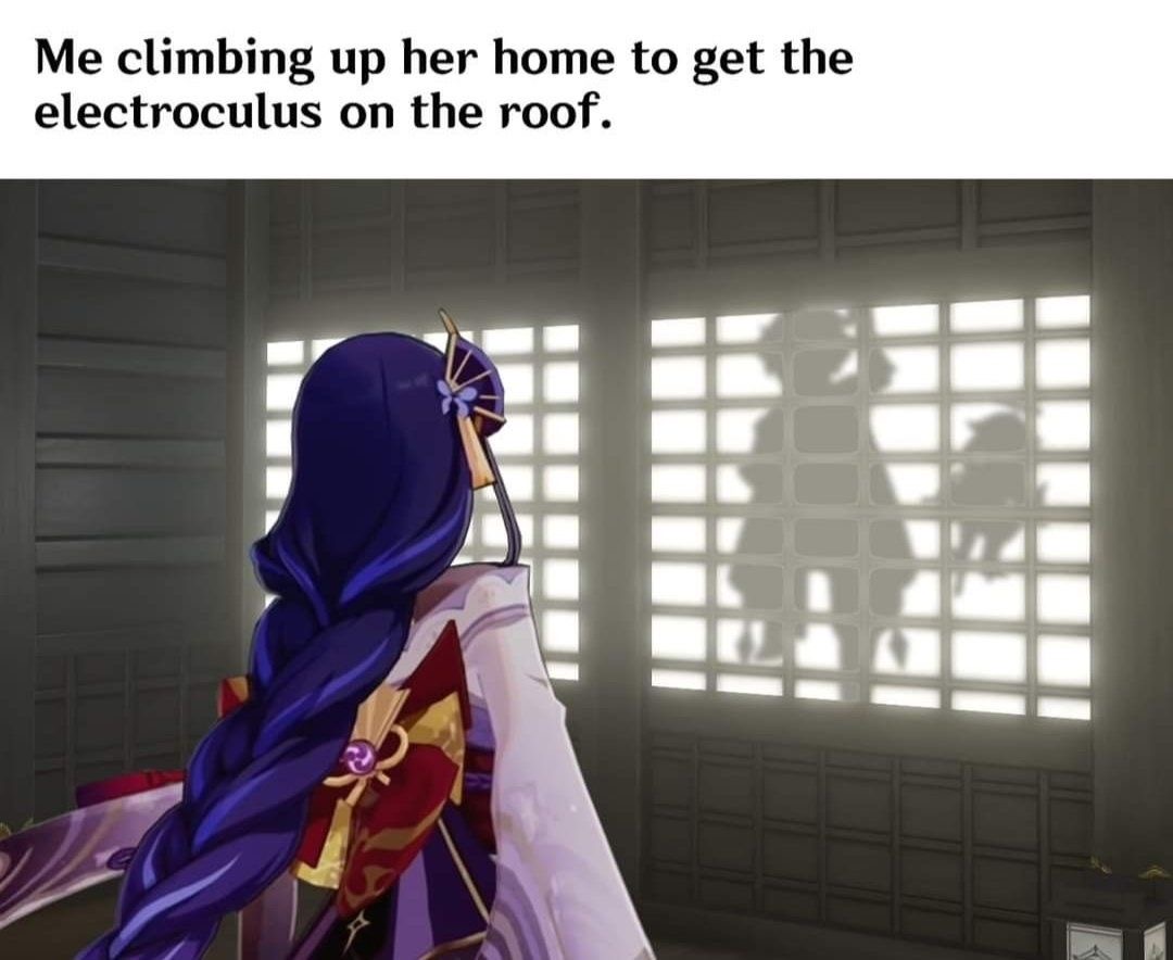 Raiden memes Genshin Impact | HoYoLAB