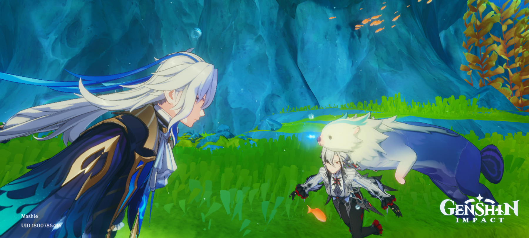 She killed my Hydro Otter🥲. Genshin Impact | HoYoLAB