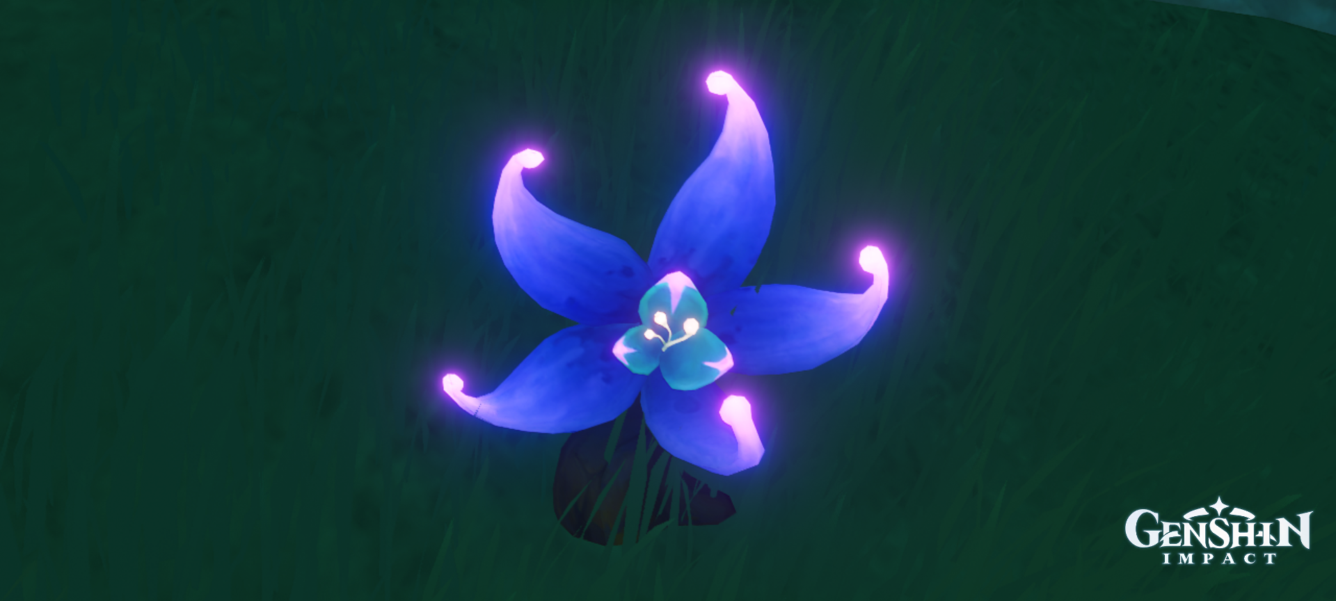 what is the name of the flower? Genshin Impact | HoYoLAB