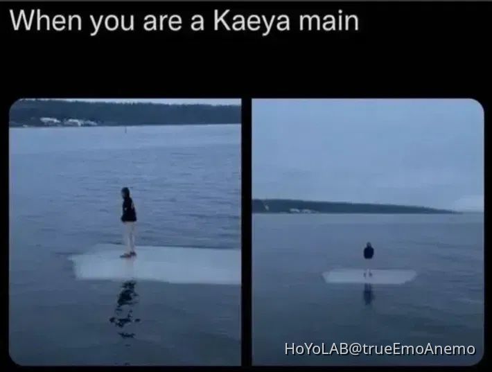 Memes from the House of Hearth Genshin Impact | HoYoLAB