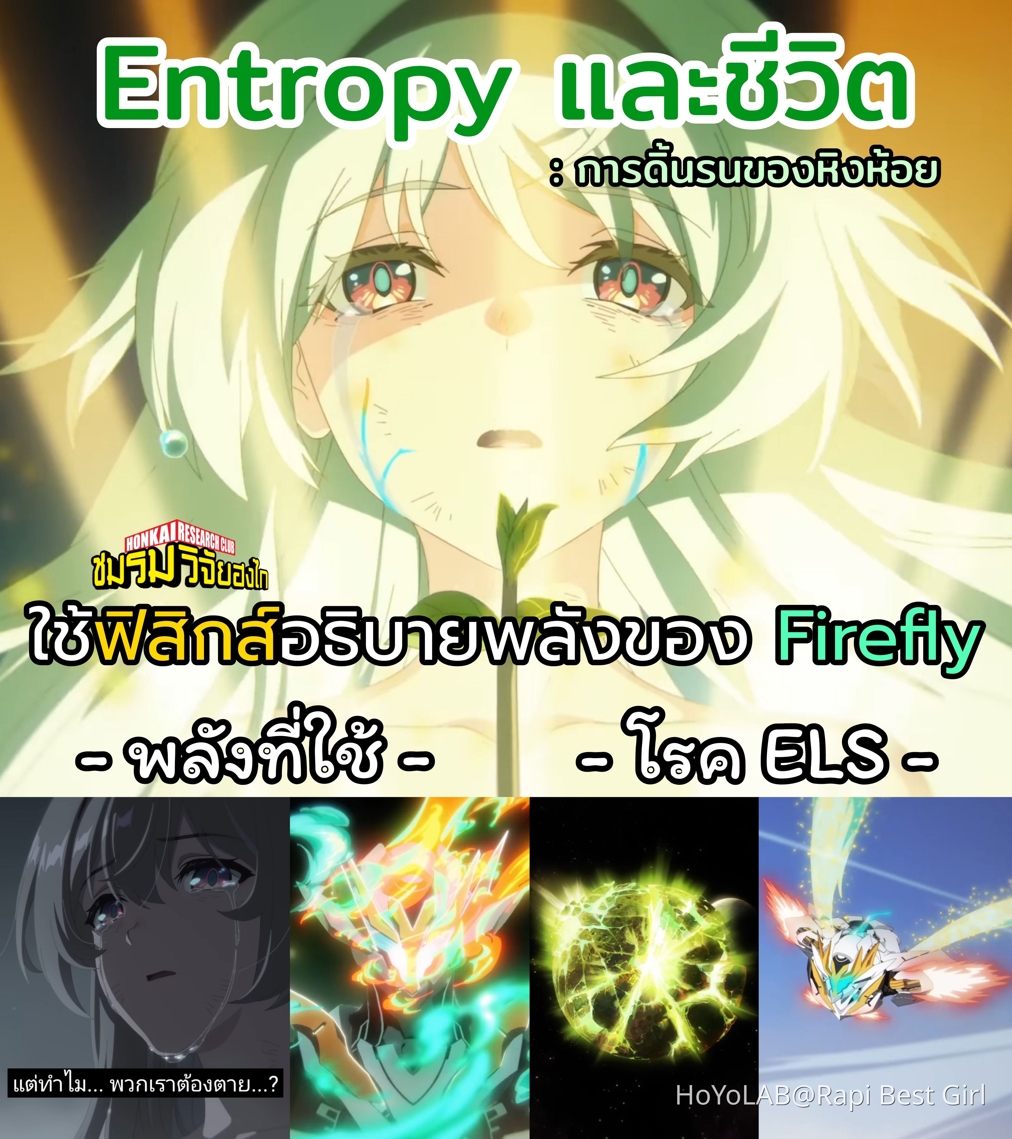 Entropy และชีวิต: Firefly ผู้ดิ้นรน Honkai: Star Rail | HoYoLAB