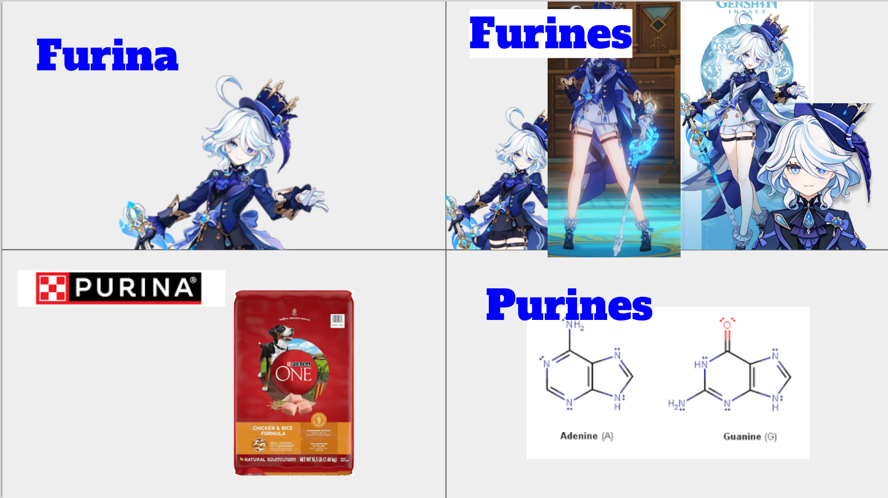Types of Furina Genshin Impact | HoYoLAB