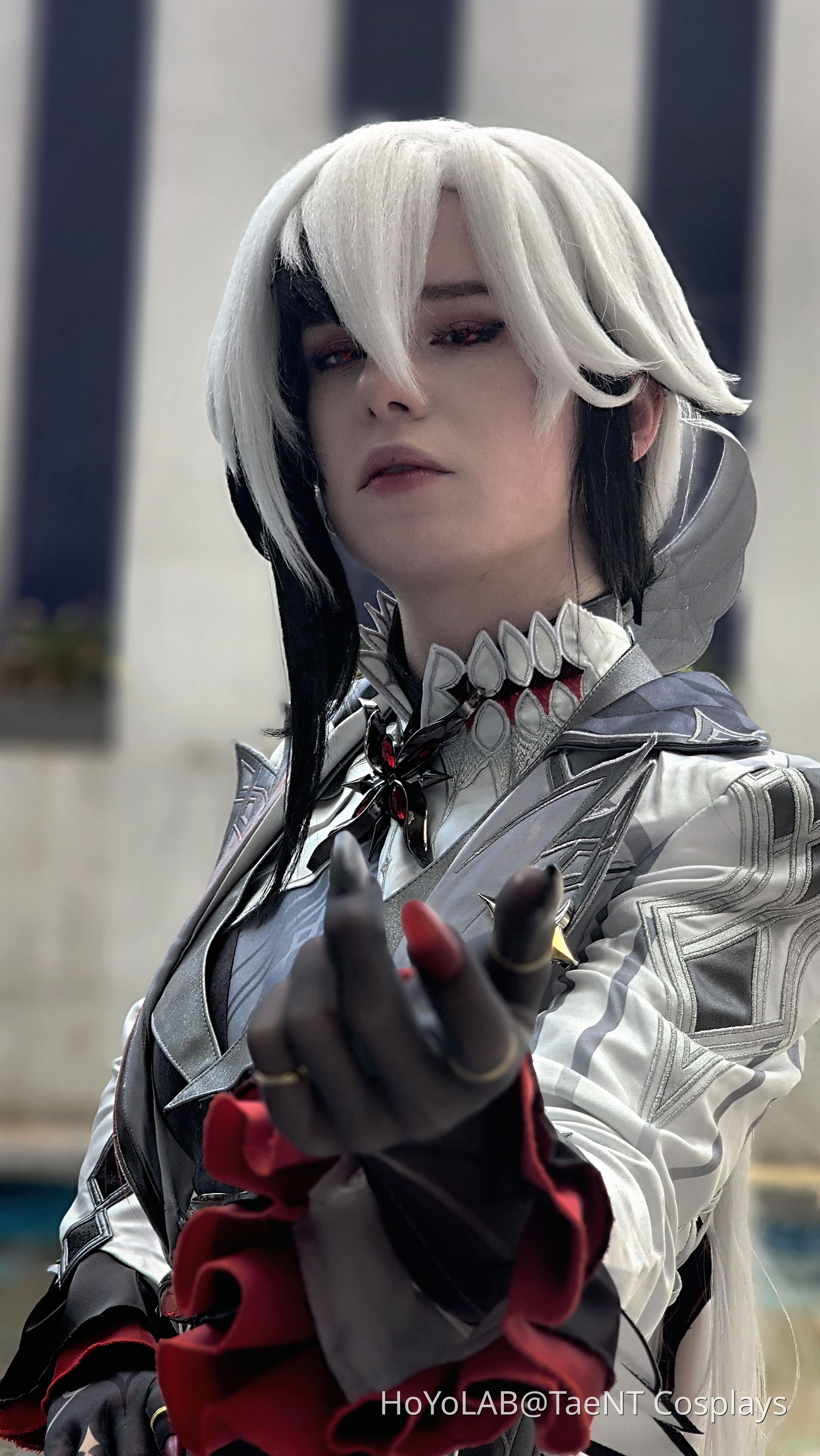 Arlecchino Cosplay Genshin Impact | HoYoLAB
