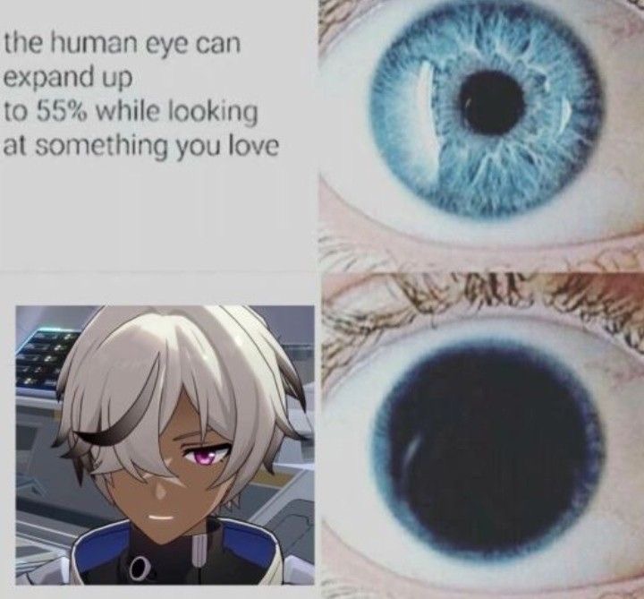 My pupils have covered my eyes entirely Honkai: Star Rail | HoYoLAB