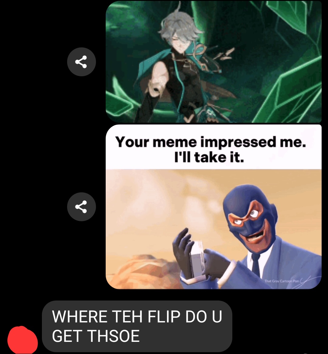 I love getting memes from hoyolab and sending them to my friends cause ...