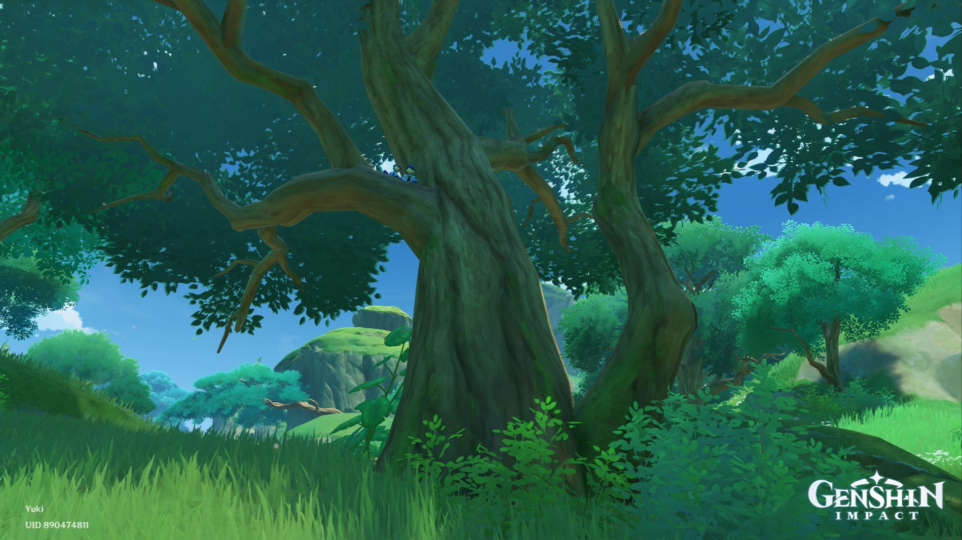 Caribert and Atossa Genshin Impact | HoYoLAB