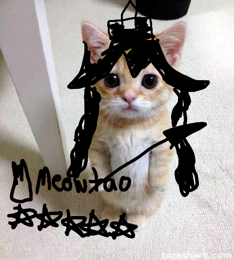 Hutao cat guyss😱 Genshin Impact | HoYoLAB