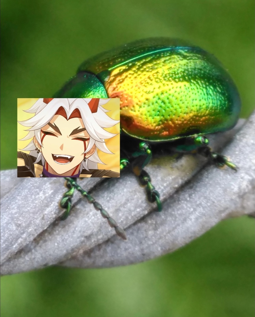 Itto the Beetle Genshin Impact | HoYoLAB