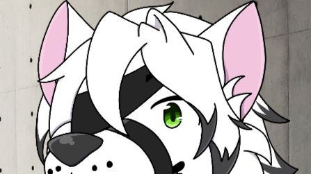 Full Reveal of my Lycaon Cosplay! Zenless Zone Zero | HoYoLAB