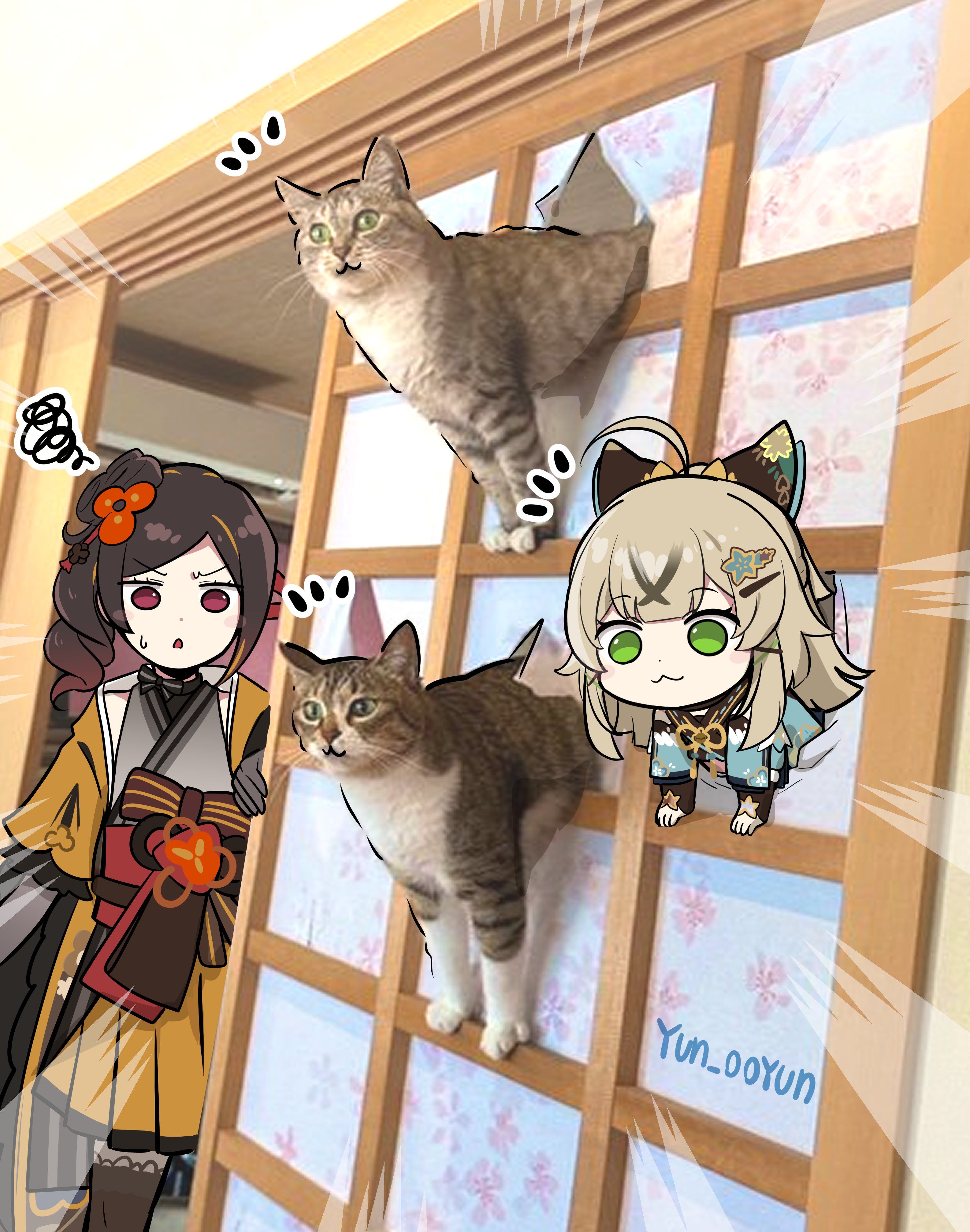 A Feline's Fate Genshin Impact | HoYoLAB