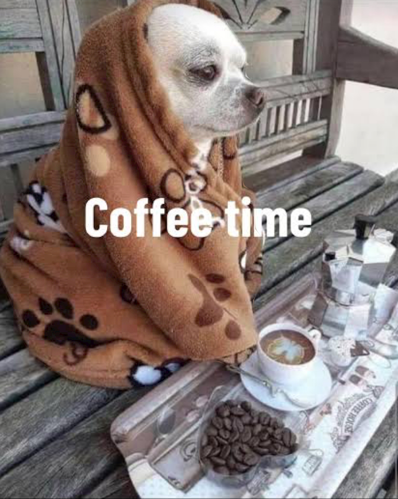 me in Coff Cafe everyday... Zenless Zone Zero | HoYoLAB