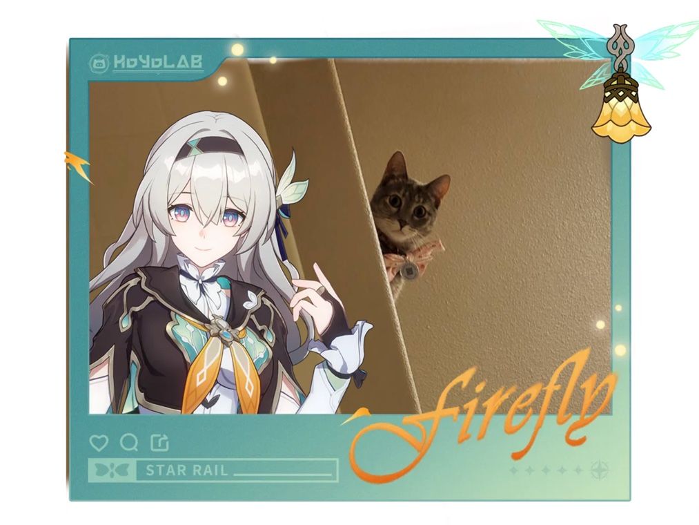 firefly meets my cat Honkai: Star Rail | HoYoLAB