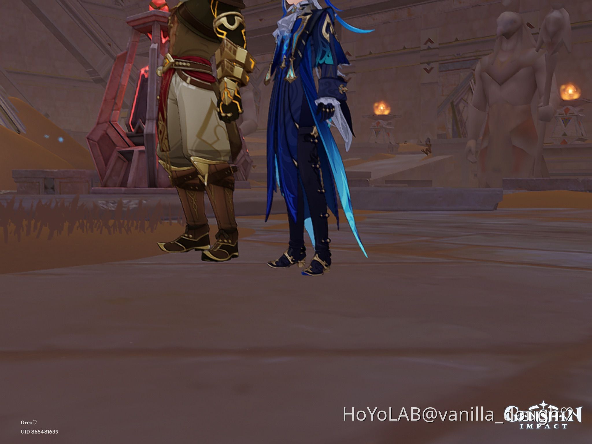 Some goofy things I encountered whilst primo farming Genshin Impact ...