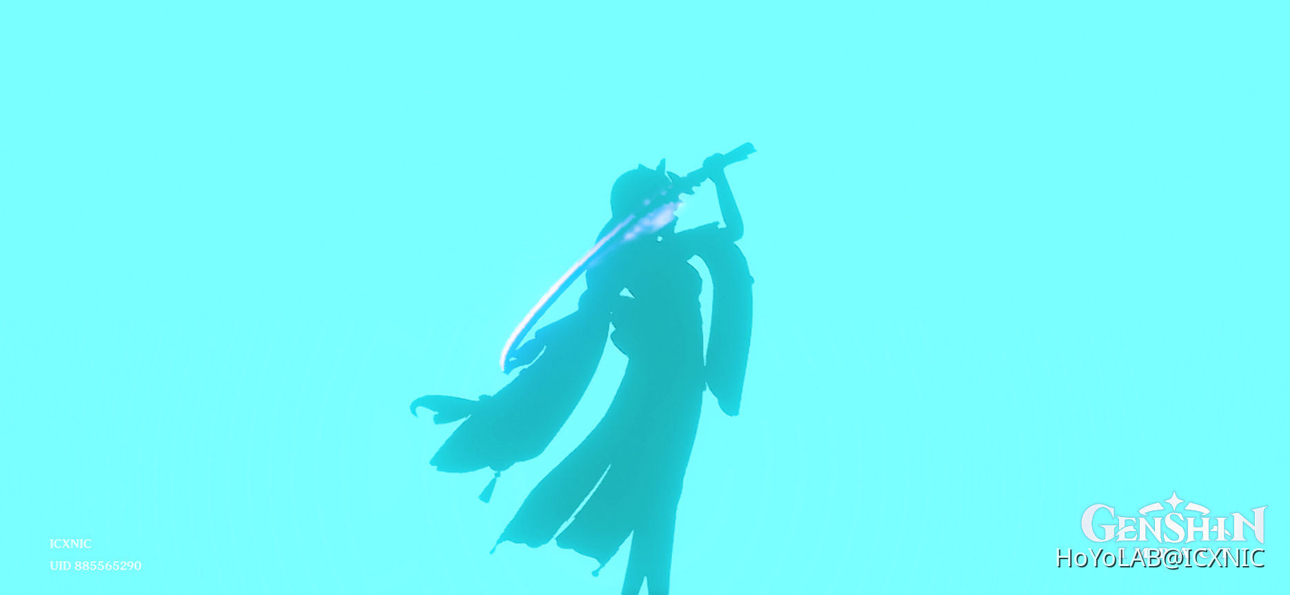 Raiden new pose and this bug>>> Genshin Impact | HoYoLAB