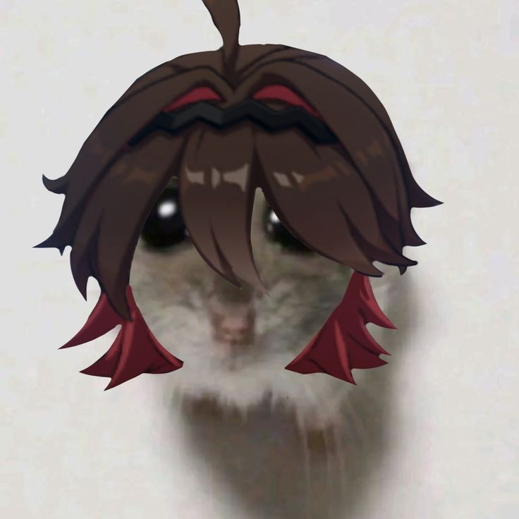 Gaming when no dim sum Genshin Impact | HoYoLAB