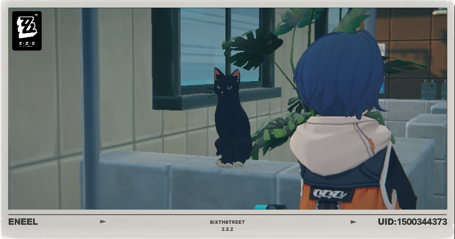 CAT Zenless Zone Zero | HoYoLAB