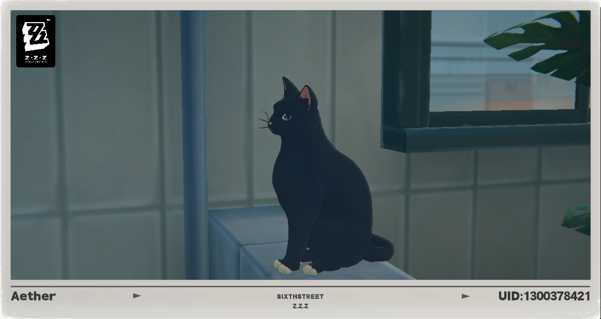 CATTTTTT 🔥🔥🔥🔥 Zenless Zone Zero | HoYoLAB