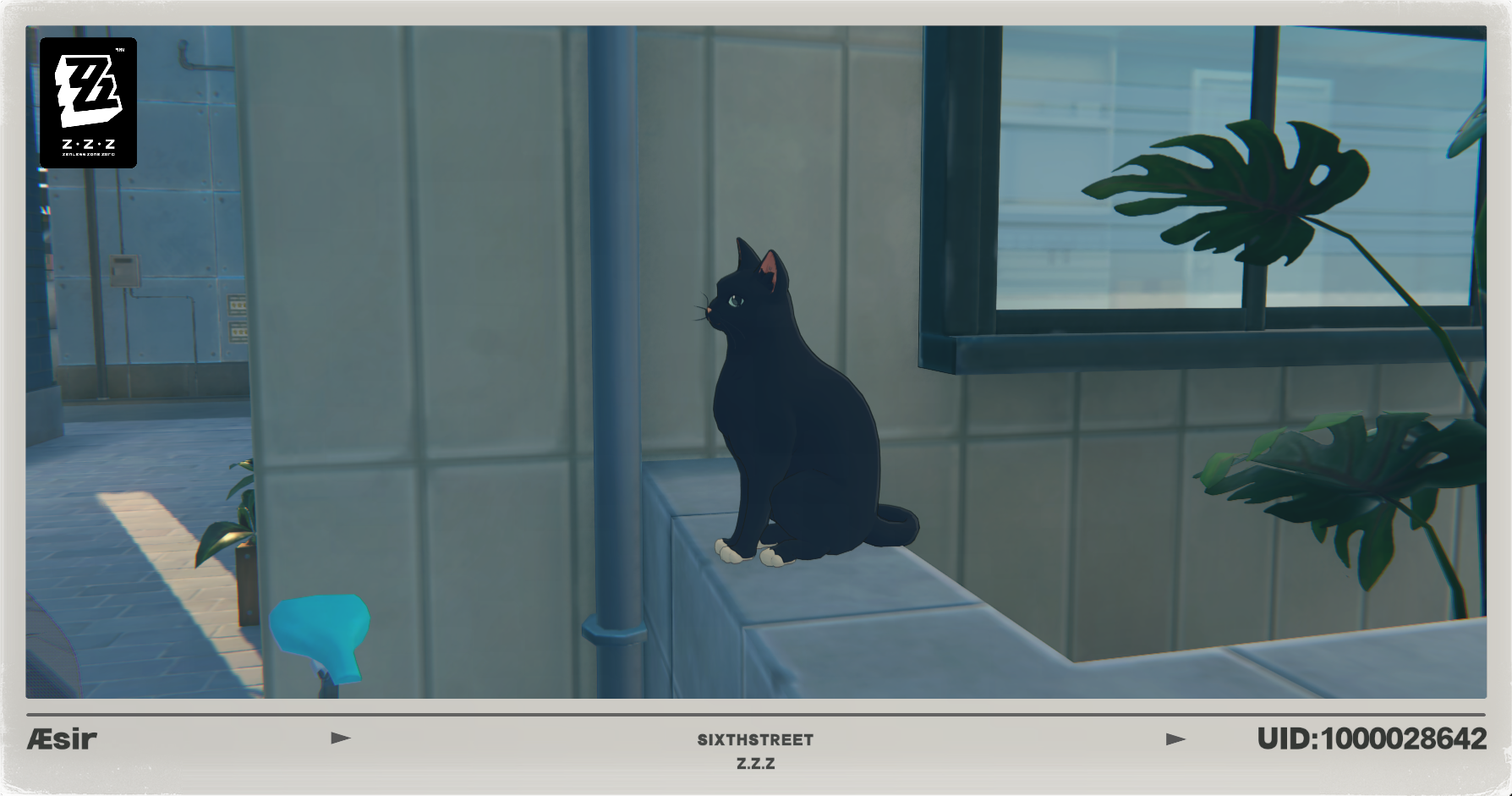 Cat Zenless Zone Zero | HoYoLAB