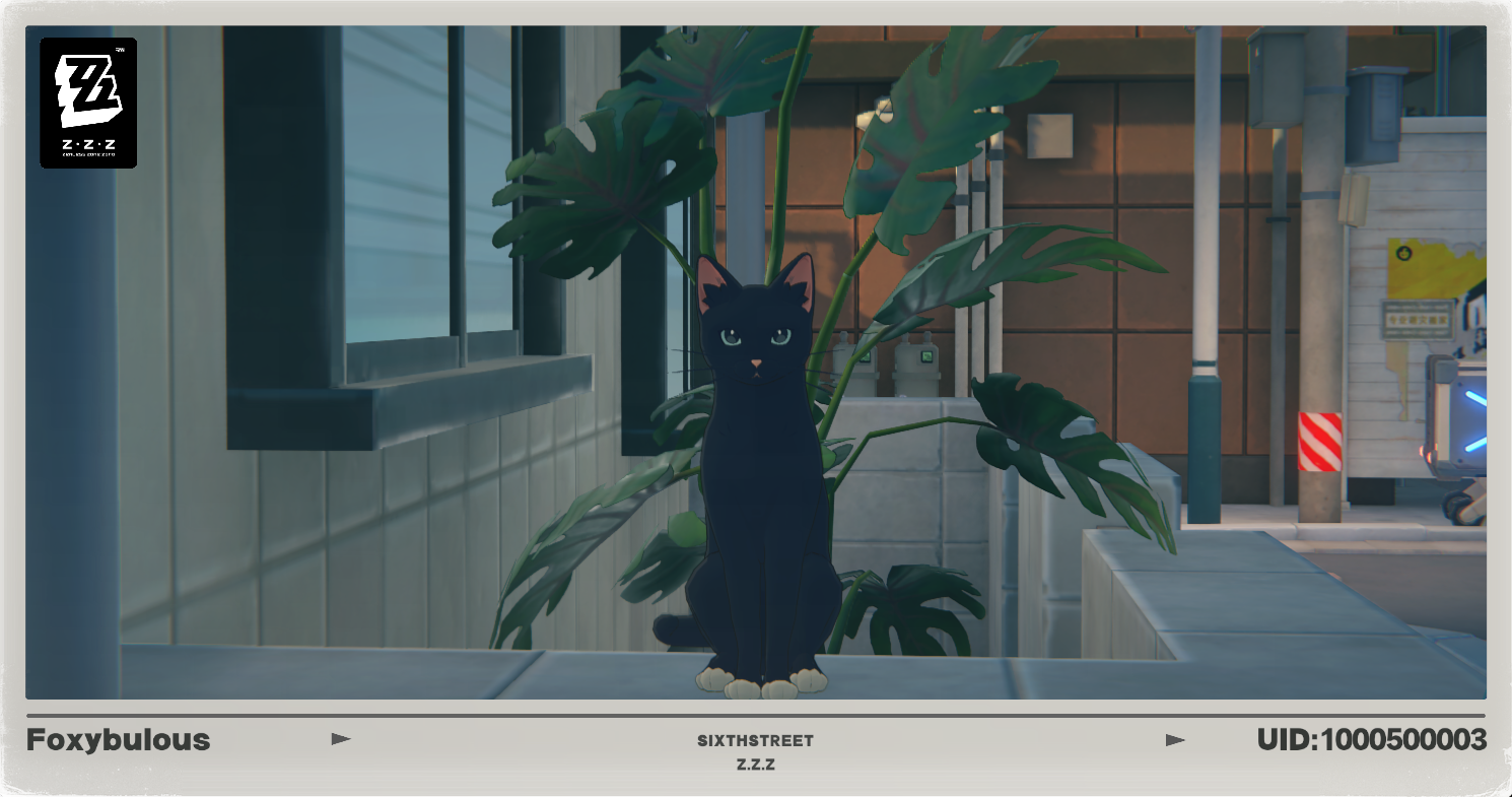 I love it 😻 Zenless Zone Zero | HoYoLAB