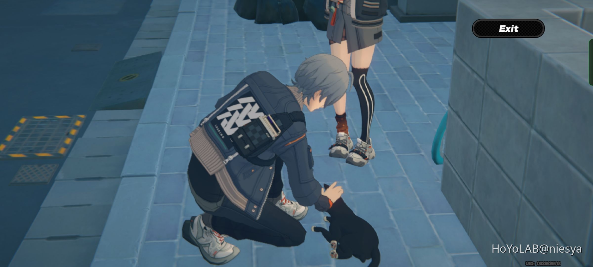 CAT Zenless Zone Zero | HoYoLAB