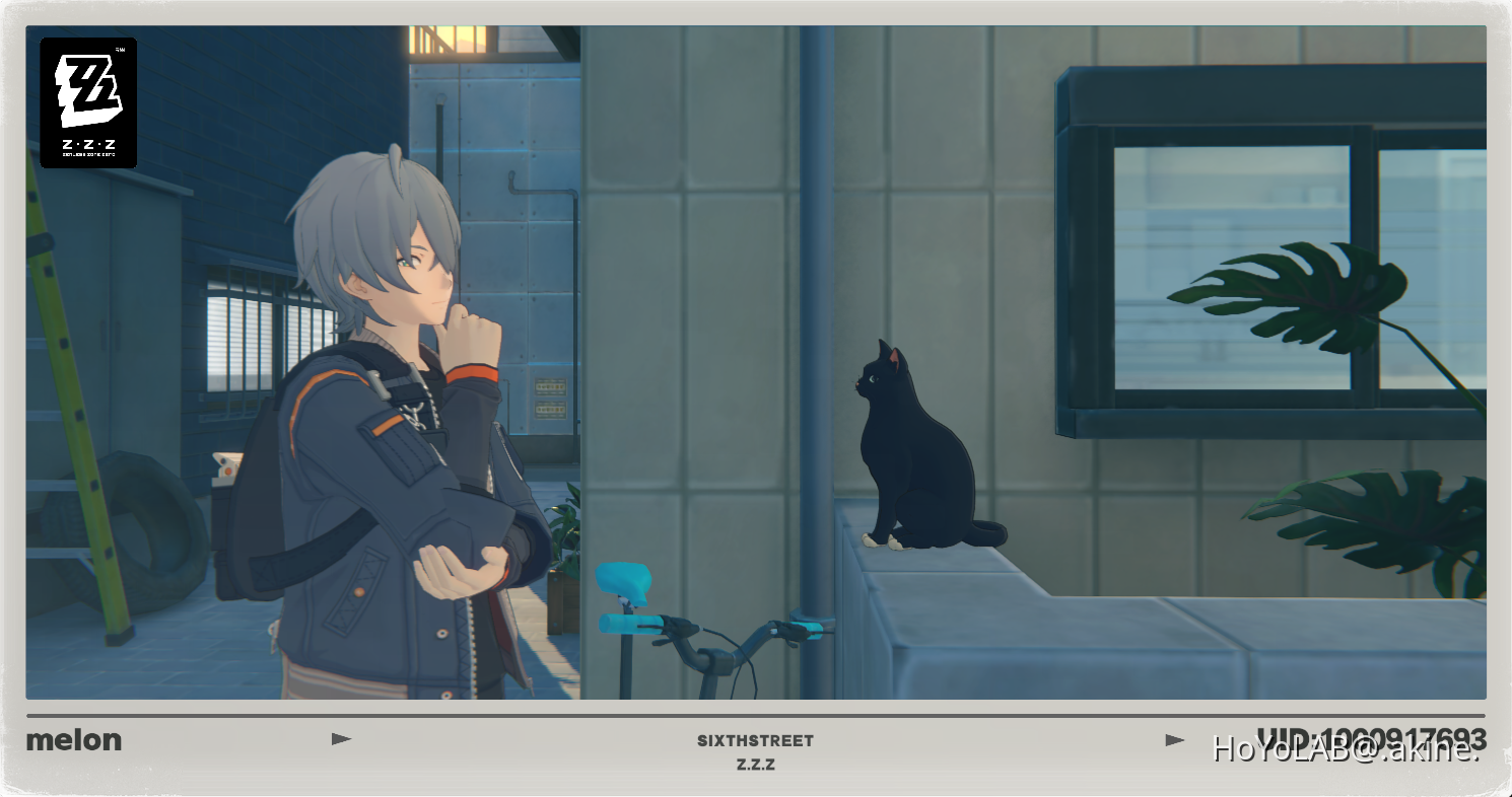 The cats in ZZZ are so cute! Zenless Zone Zero | HoYoLAB