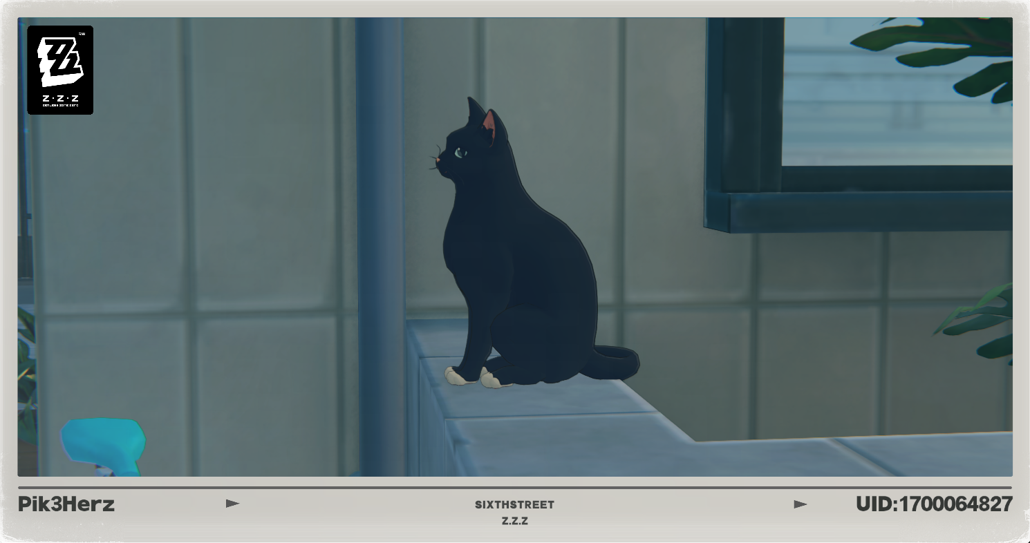 CAT 🐈‍⬛ Zenless Zone Zero | HoYoLAB