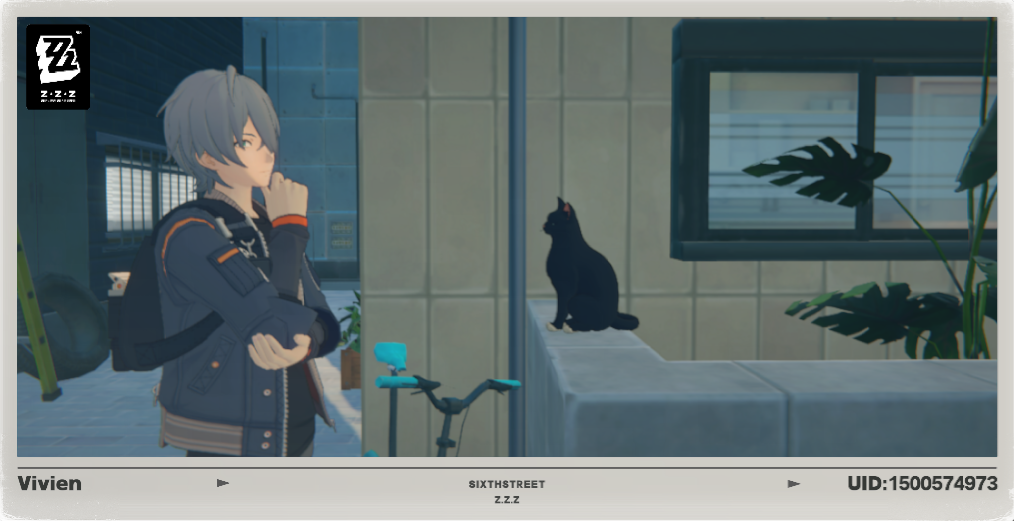 Cat Zenless Zone Zero | HoYoLAB