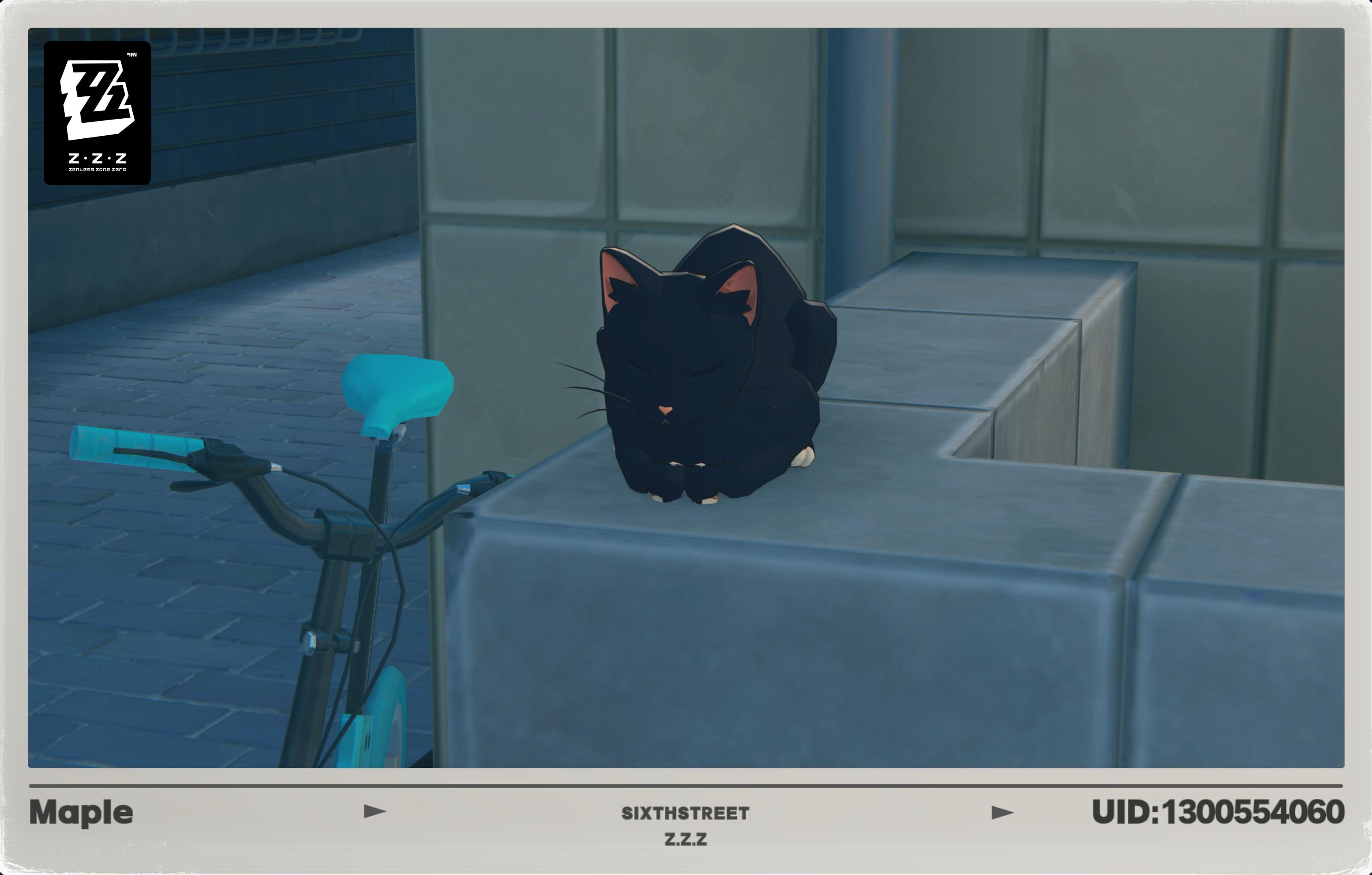 Cats on Sixth Street Zenless Zone Zero | HoYoLAB