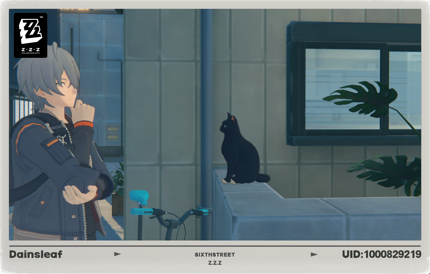 Cat cat Zenless Zone Zero | HoYoLAB