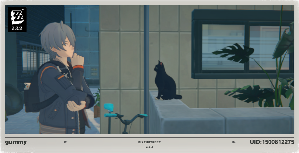 Would cute cat 🐈 Zenless Zone Zero | HoYoLAB