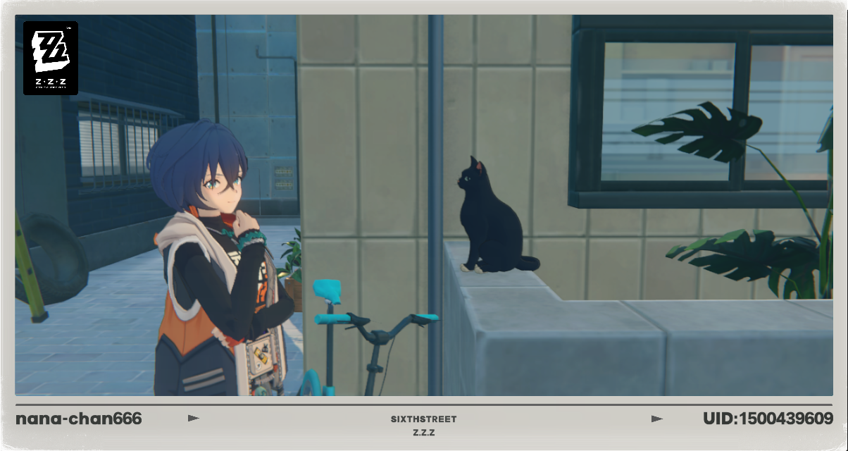 Meet a black cat Zenless Zone Zero | HoYoLAB