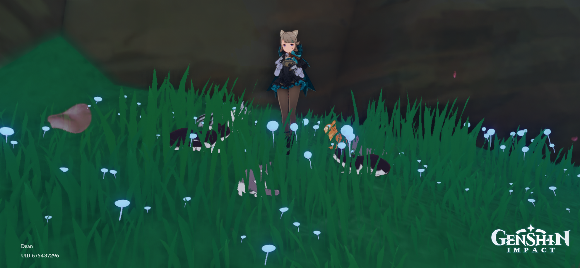 Lynette the cat lady Genshin Impact | HoYoLAB