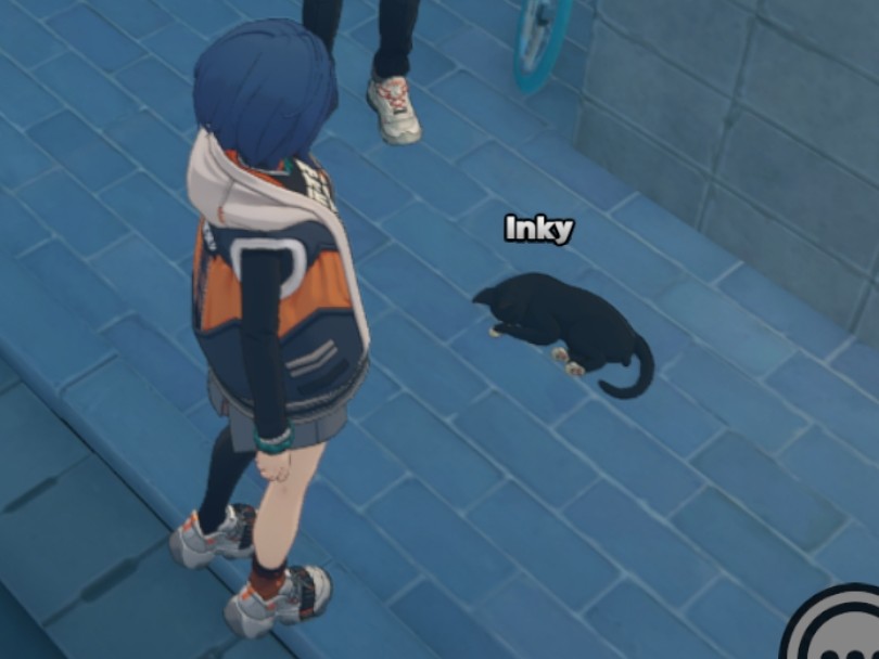 Can you pet the cat from Zenless Zone Zero? Genshin Impact | HoYoLAB